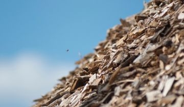 Comparative analysis: biomass and renewable sources | TURBODEN